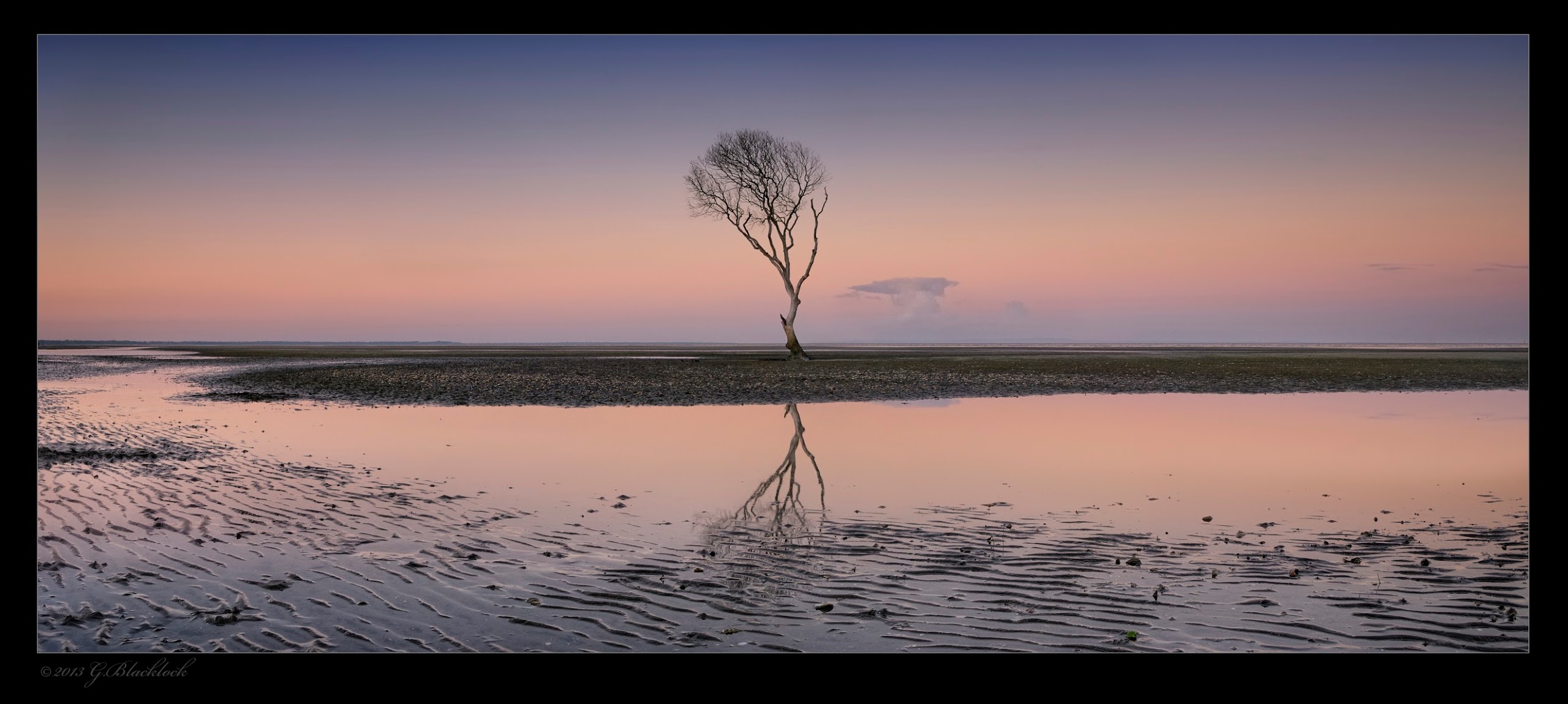 Pastel Paradise – avernus