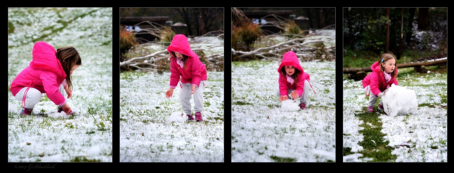 Snowballs at Mount Canobolas – avernus