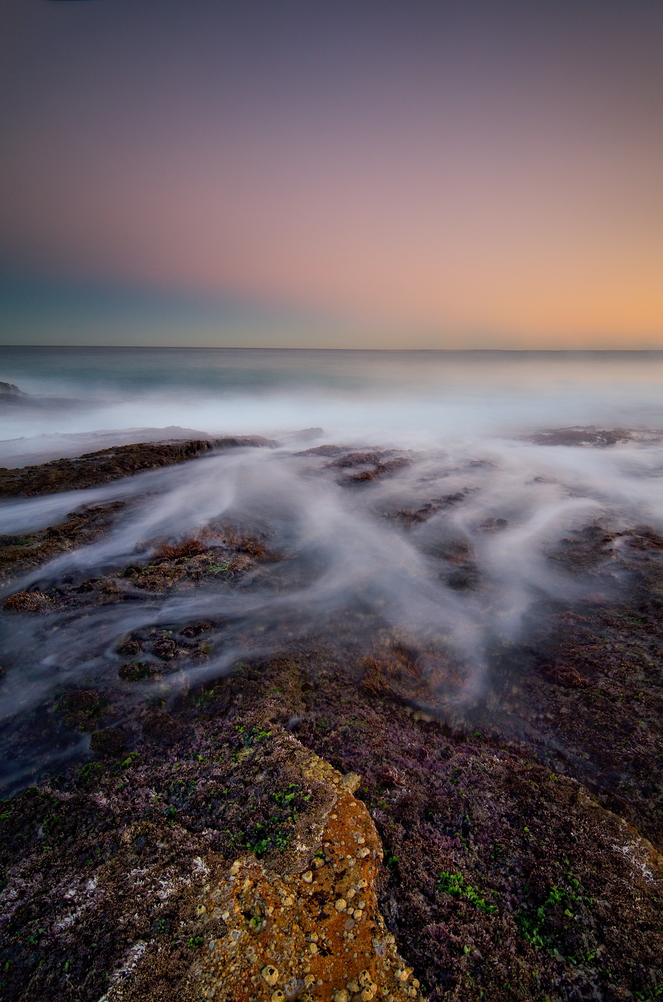 Fingers – Tamarama Beach / head land – avernus