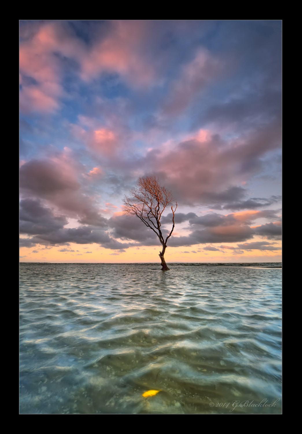 Bold – avernus