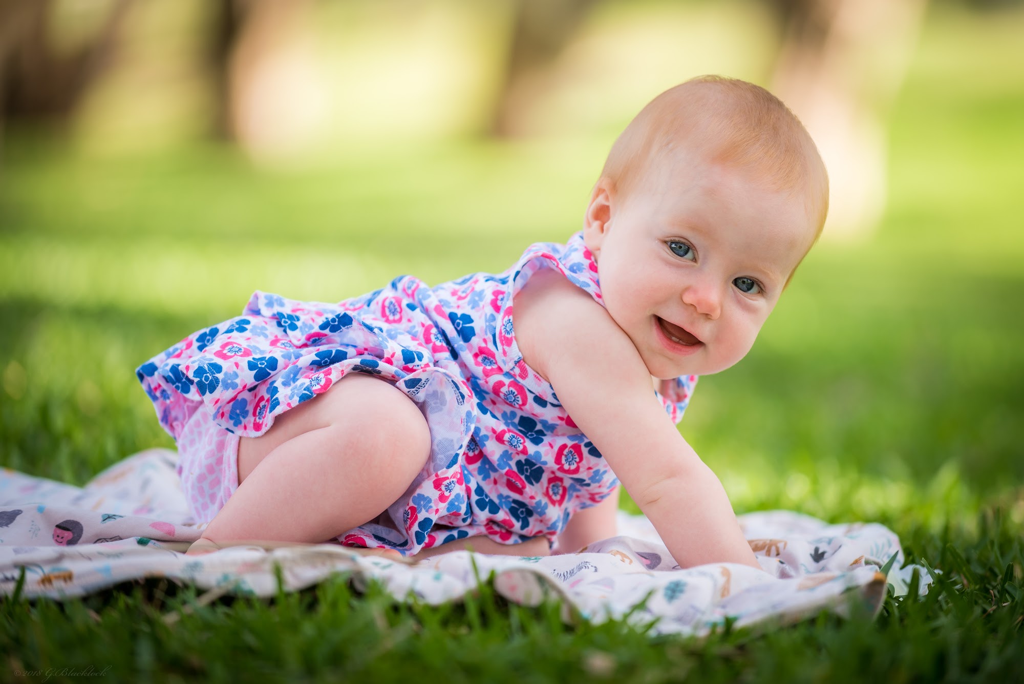 Ginger Ninja in the park – avernus