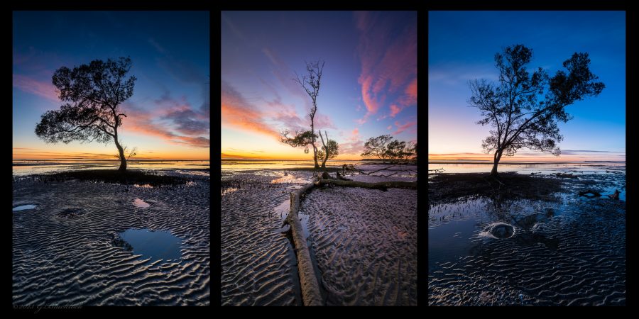 Tree Triptych. – avernus