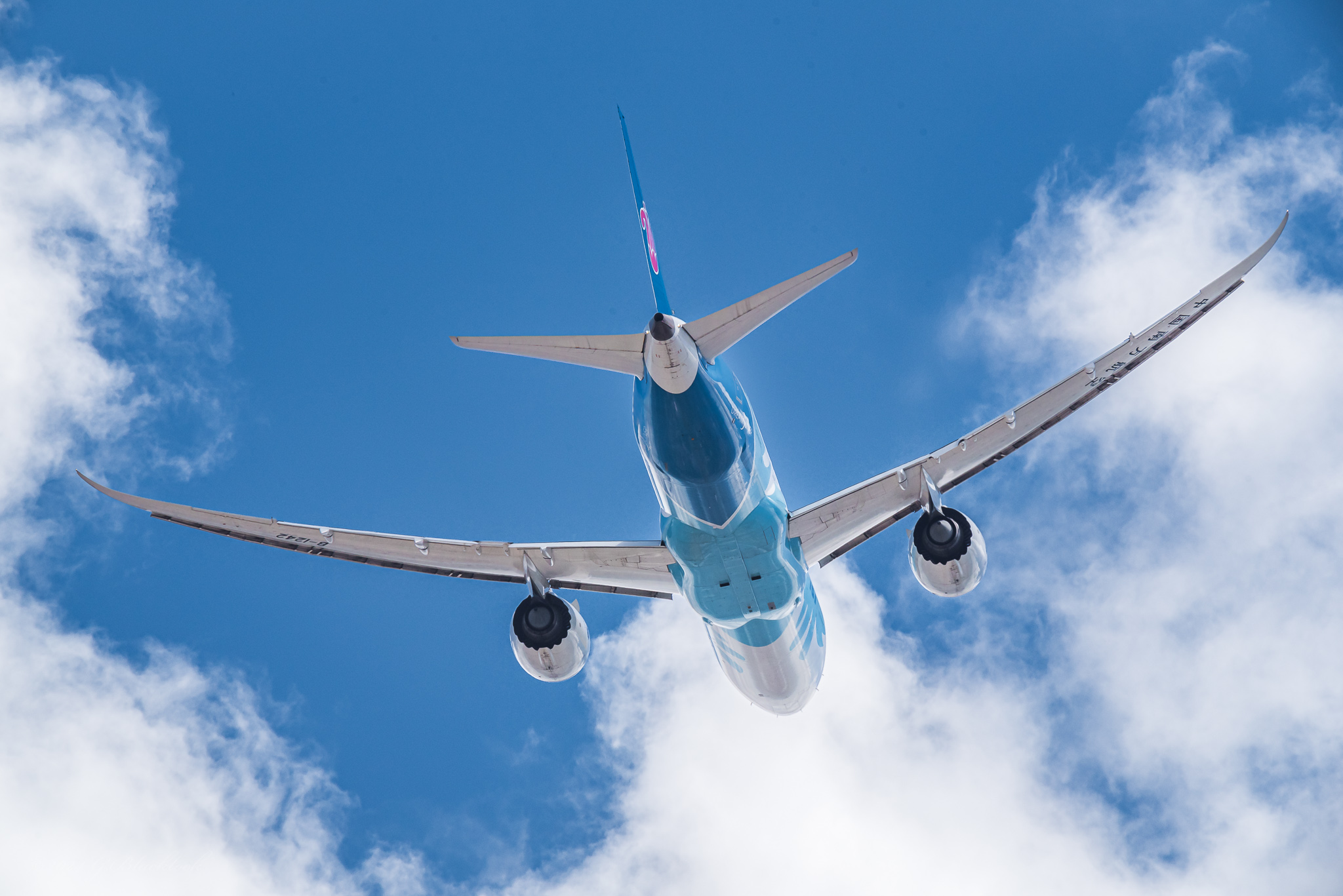 Underside. – avernus